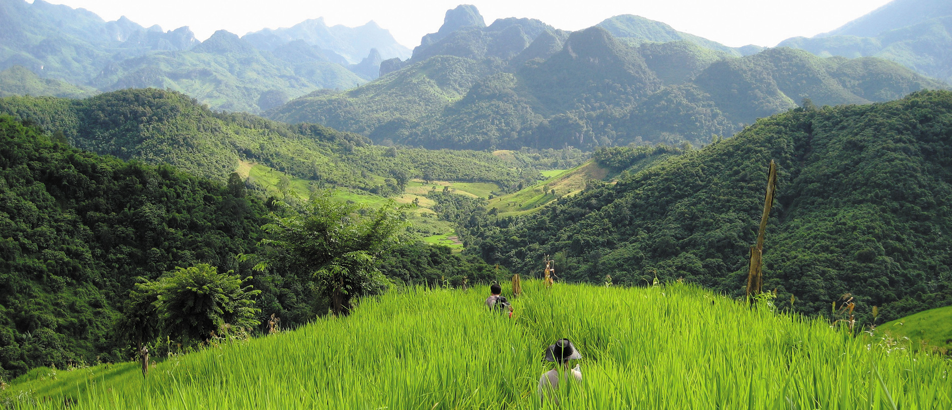 Go Laos - Get the Best Traveling Services in Laos!